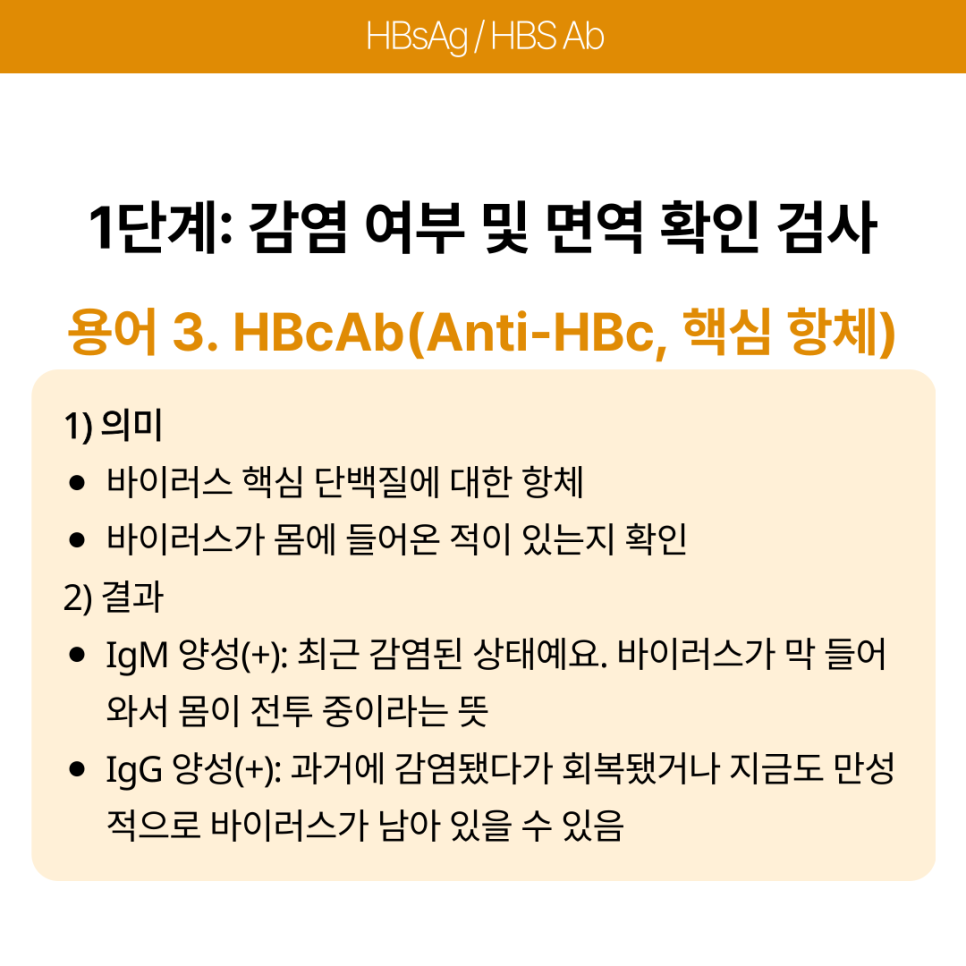 HBsAg HBs Ab 양성 음성 외 지표 알기쉽게 정리 : 네이버 블로그