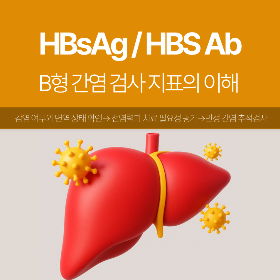 HBsAg HBs Ab 양성 음성 외 지표 알기쉽게 정리 : 네이버 블로그