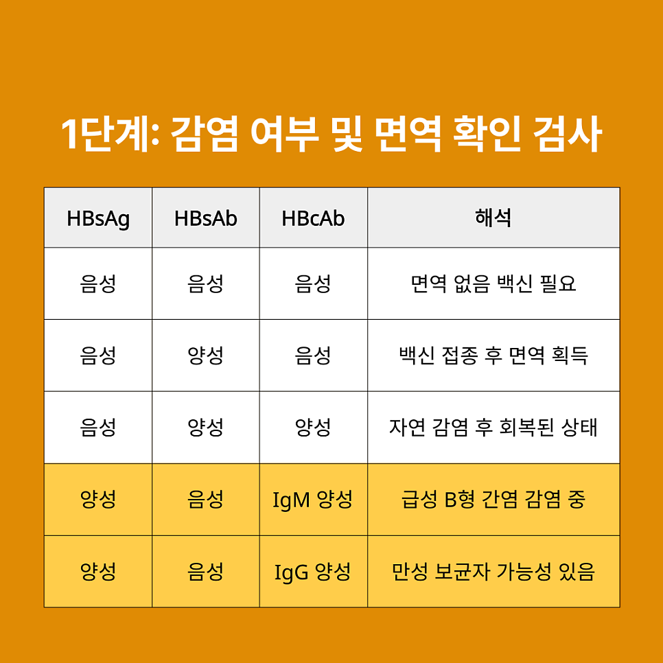 HBsAg HBs Ab 양성 음성 외 지표 알기쉽게 정리 : 네이버 블로그
