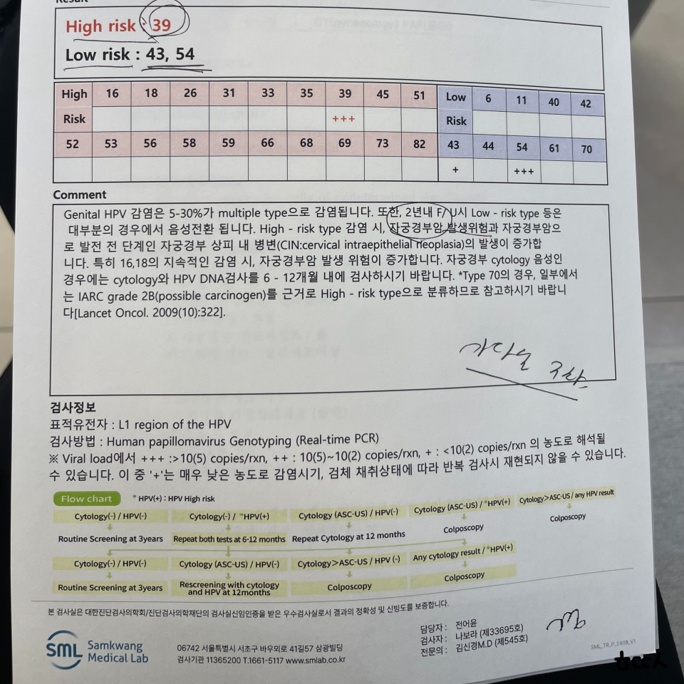 hpv 바이러스 검사 결과 hpv 39번 43번 54번 고위험군 아스쿠스 ascus hpv 검사 실비 검사 후기 : 네이버 블로그