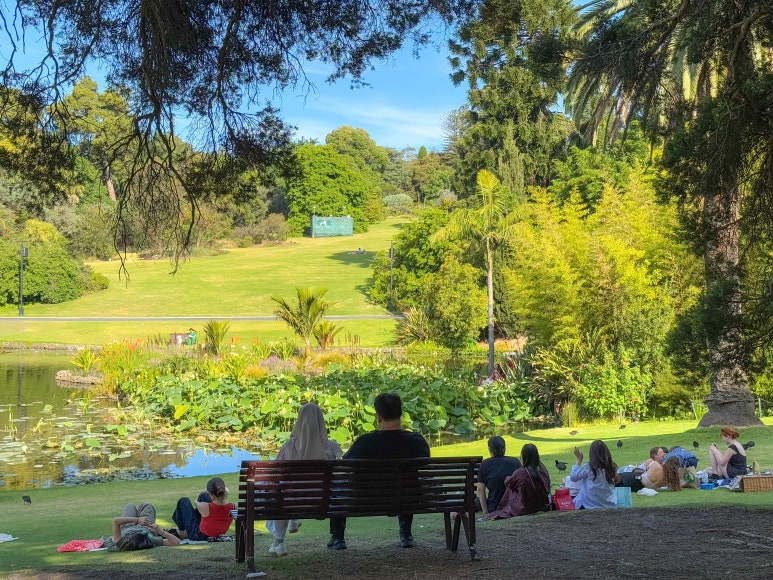 호주 멜버른 여행 로얄 보타닉가든 Royal Botanic Garden 피크닉 하기 좋은 곳 네이버 블로그