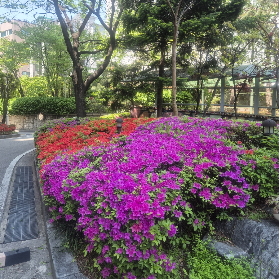강남 청담동 삼성래미안 아파트에서 인천공항 택시 예약 방법 택시요금 : 네이버 블로그