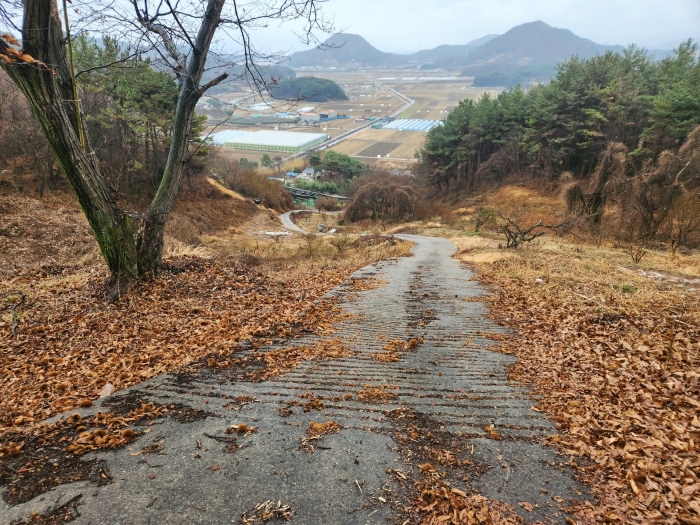 전남 광양시 진월면 토지(임야) 경매 (최저입찰가: 592만원) : 네이버 블로그