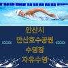 안산호수공원수영장 자유수영·아쿠아로빅 프로그램 총정리 네이버 블로그