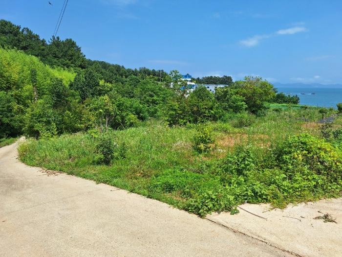 전남 여수 화양면 안포리 토지(논) 경매 (최저입찰가: 2억 1791만원) : 네이버 블로그