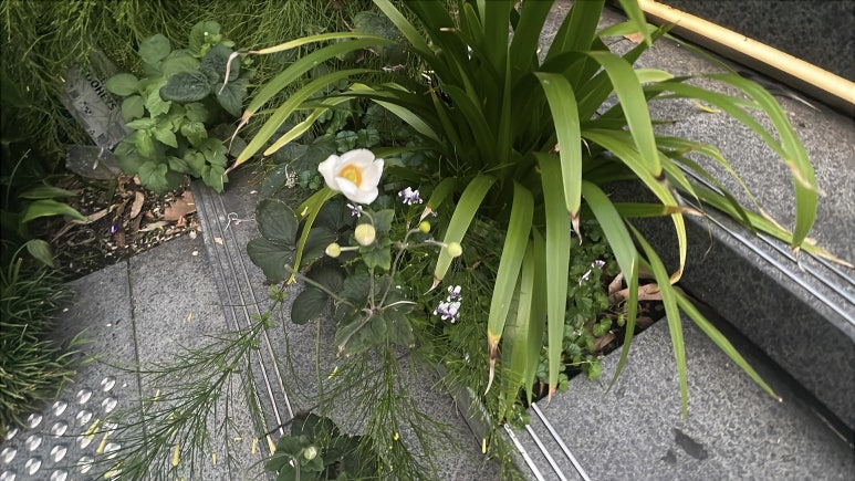 완벽주의자의 덫. : 네이버 블로그