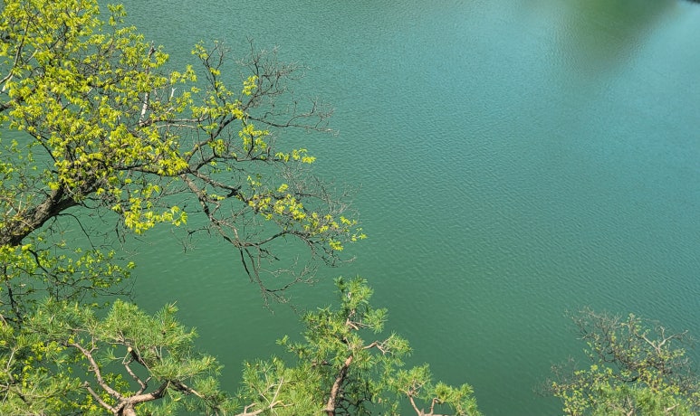 AI영상툴 TOP4 장단점 완벽비교-비지오랩 : 네이버 블로그