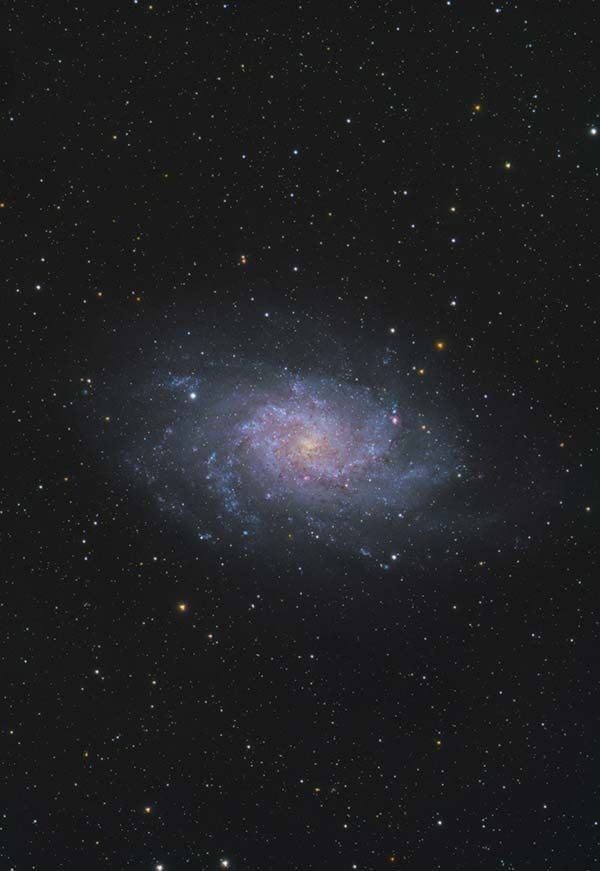 자캐소개서 [천우] : 네이버 블로그