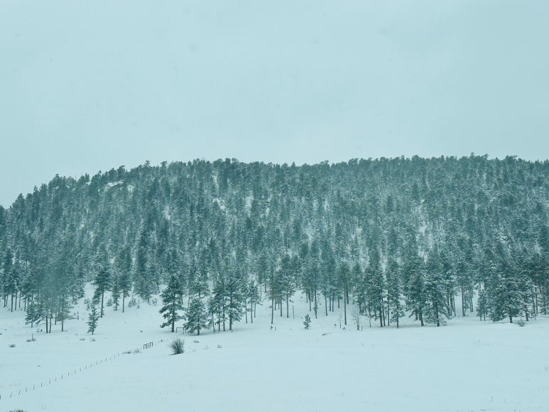 콜로라도 로드트립 (7일차) 겨울왕국이 된 록키산맥, 폭설로 귀가, 그래도 아름다웠다. : 네이버 블로그