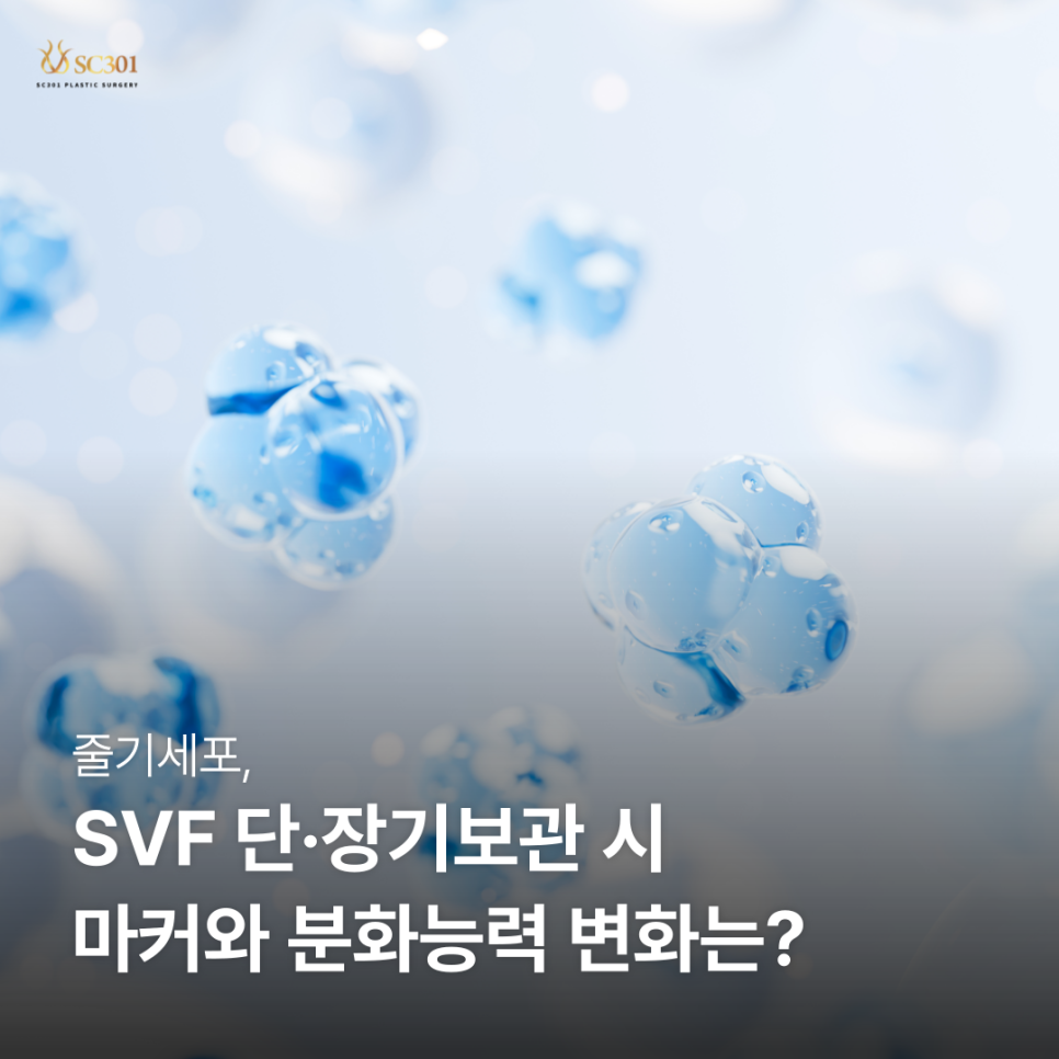 지방유래 줄기세포 SVF 단·장기보관 시 마커와 분화능력 변화는? - SC301 - 성형초보, 당신을 위한 A-Z