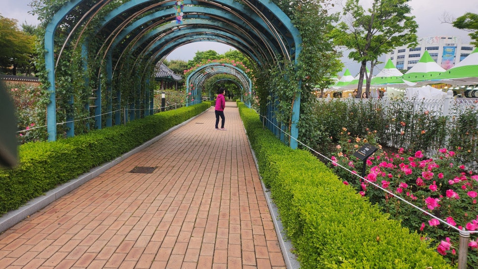 타로카드 0번 바보-21번세계 인문학 적 연결 정리 : 네이버 블로그