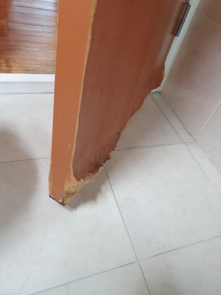 많이 불은 광진구 중곡동 화장실 문짝을 abs도어로 교체했어요(feat.욕실문 ABS도어 교체비용) : 네이버 블로그