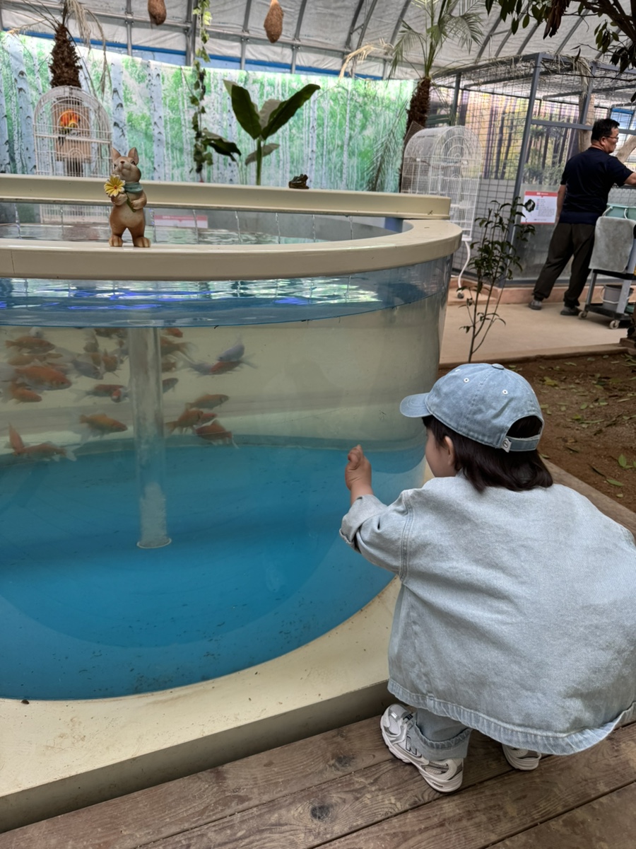 광주 전남 실내동물원 추천, 나주랜드 : 네이버 블로그