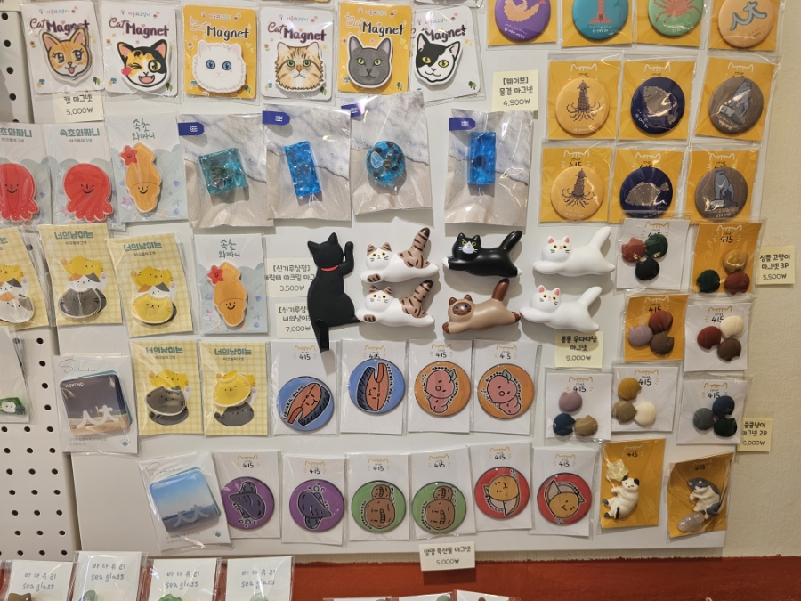 속초 소품샵 투어 호두잡화점 고양이골목 415 : 네이버 블로그