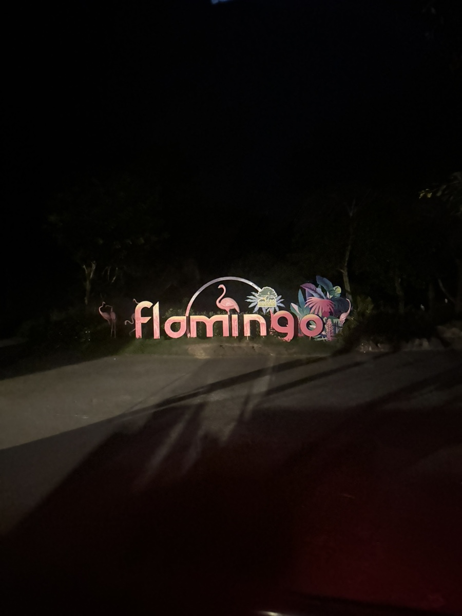 [푸꾸옥] 푸꾸옥 빈펄 사파리 주키퍼 나이트 사파리 후기3 끝! (+그랜드월드) : 네이버 블로그