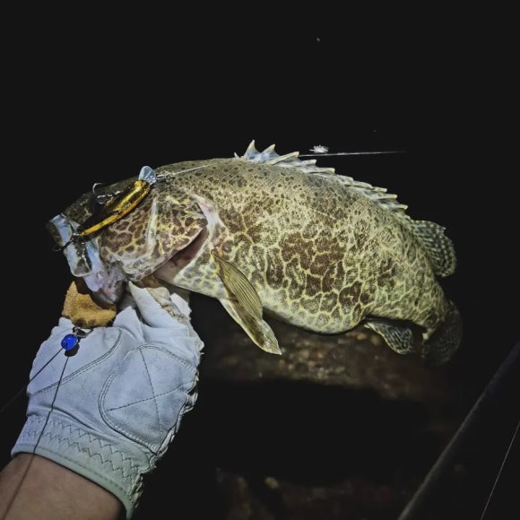 2025년6월12일 임진강쏘가리낚시 & PLAYBAIT TROYEE ROOKIE S662L-R : 네이버 블로그