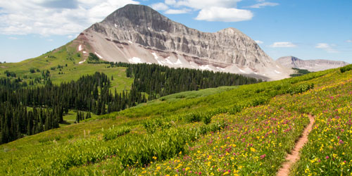 Pass Creek Engineer Mountain, Durango, Colorado USA : 네이버 블로그
