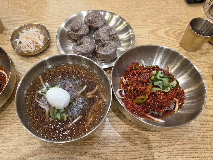 장안동 맛집 이병태 함흥냉면 회냉면 만두 가족 외식 추천 주차 내돈내산 : 네이버 블로그
