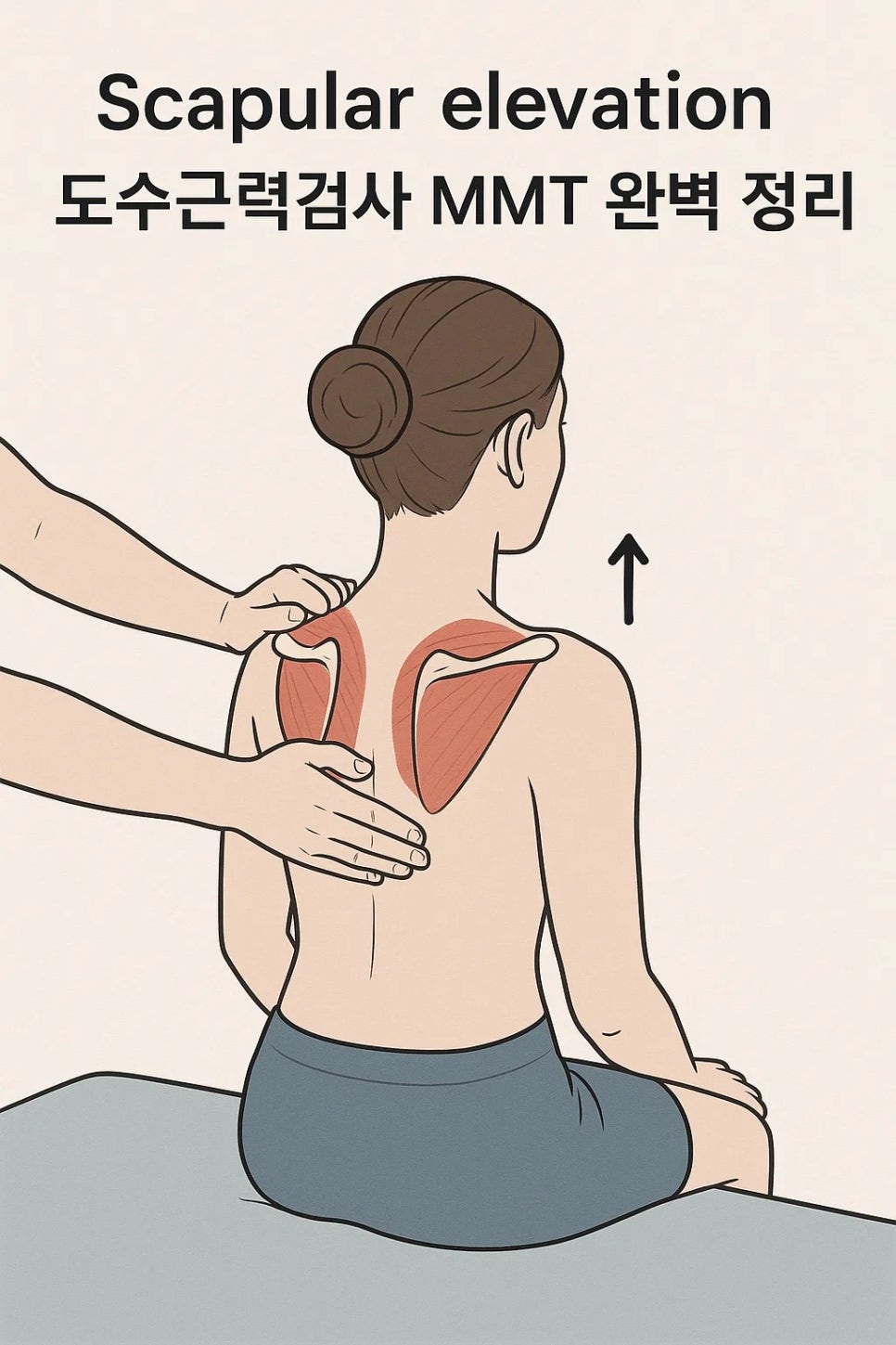 Scapular elevation – 도수근력검사 MMT 완벽 정리 : 네이버 블로그