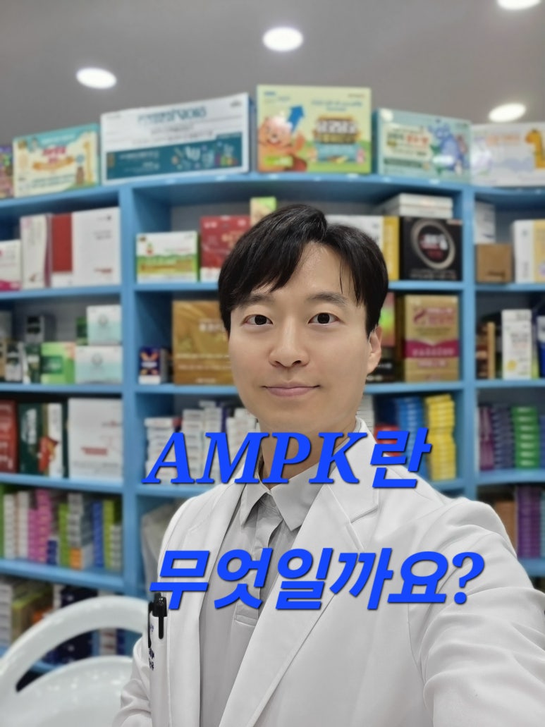 지방 태우고 몸을 리셋하는 효소, AMPK 활성화가 뭐길래?? : 네이버 블로그