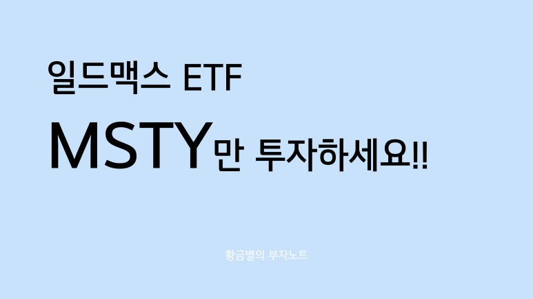 일드맥스 ETF는 MSTY만 투자하세요!! : 네이버 블로그