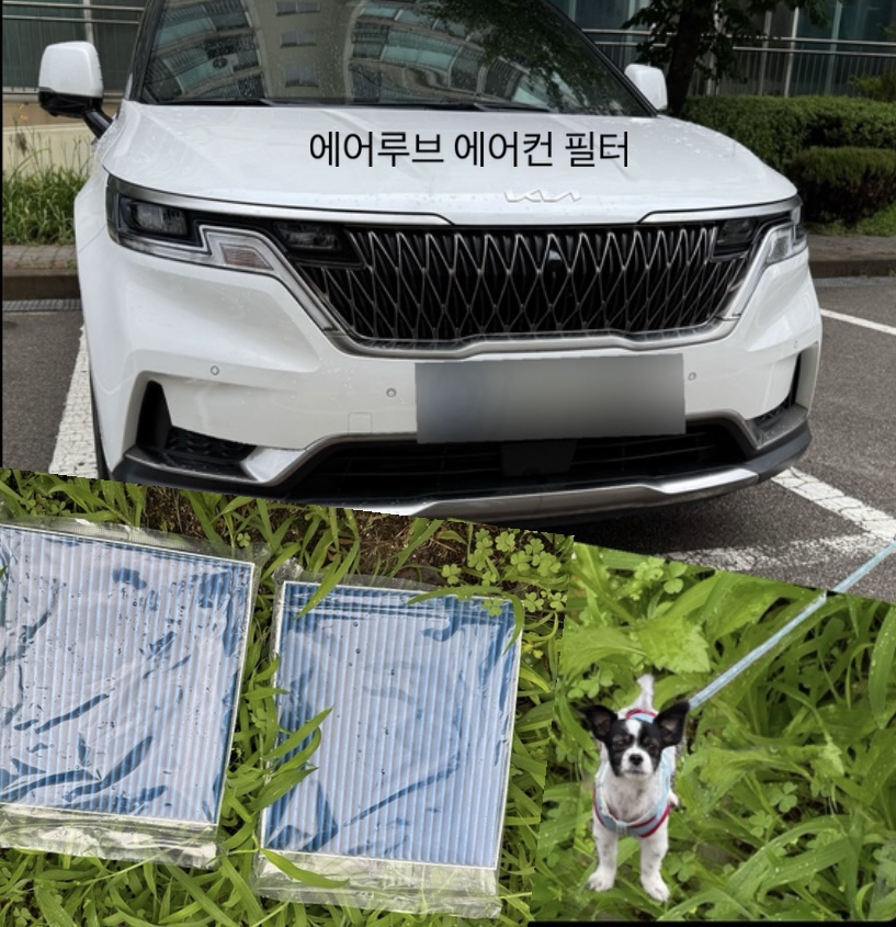 🚗💨 “4세대 카니발 에어컨 필터 교체 에어루브 E11 PM0.3 장착 방법 활성탄 에어컨 필터 효과 차안 공기가 달라 졌어요 냄배냄새 제거 필터 솔직 사용기 : 네이버 블로그