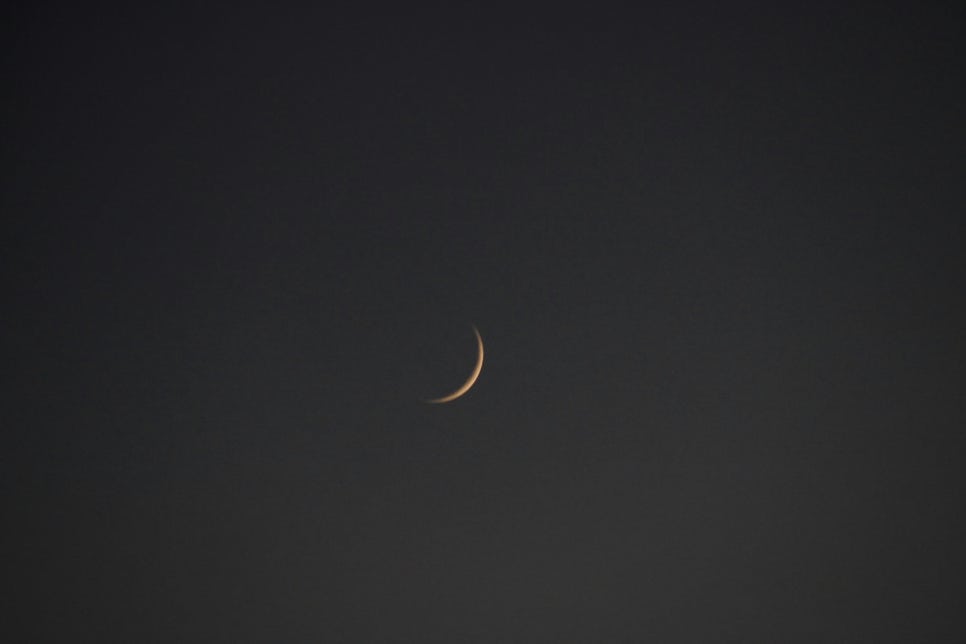 A Thousand Years Orchestra Short Ver. | 로맨틱한 순간을 위한 음악 : 네이버 블로그