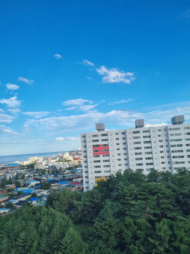 강릉에서 내 집 마련? 해변 vs 내륙, 진짜 집값은? : 네이버 블로그