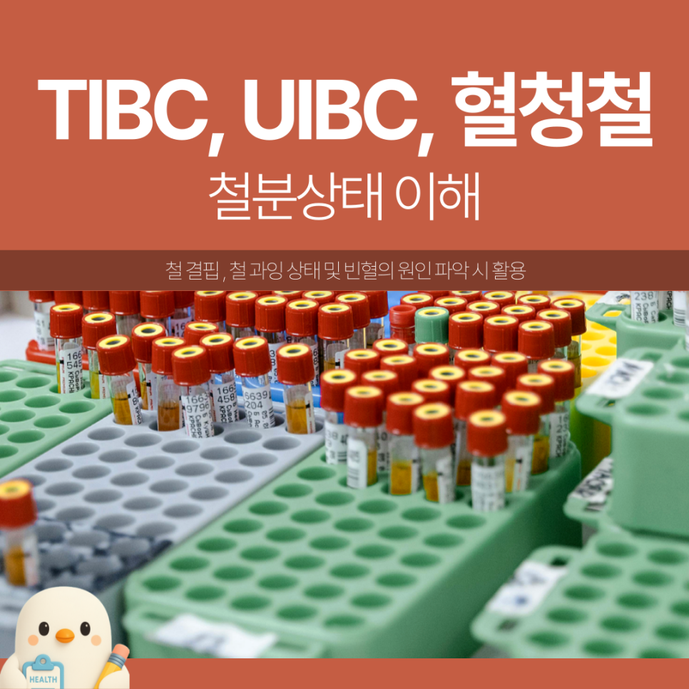 TIBC UIBC 혈청철 수치 낮음 높을때 철분상태 이해 : 네이버 블로그