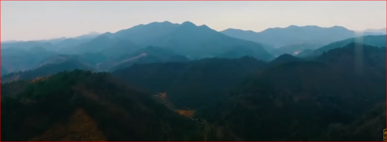 [컨설팅 사례] 공익용산지-산림보호구역에서 비닐하수스를 설치할 수 있을가? : 네이버 블로그