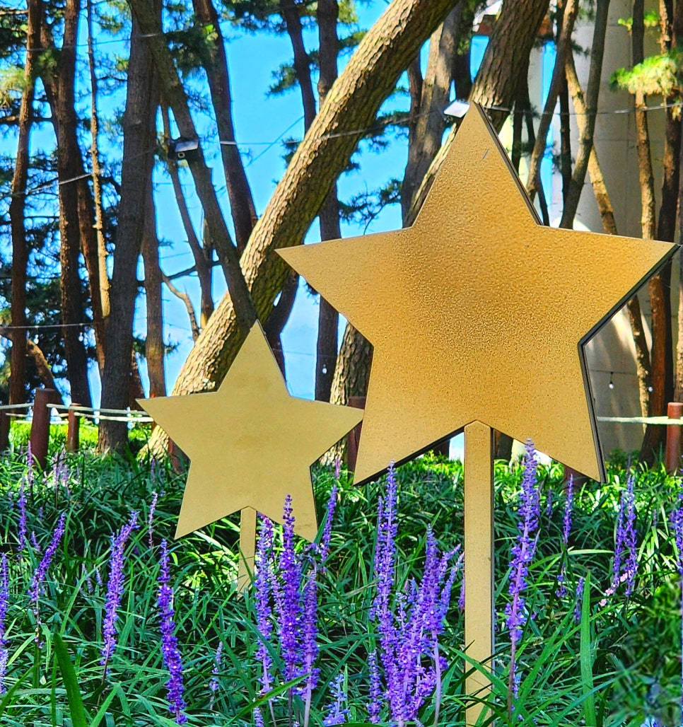 〔충남장항〕서천 장항 맥문동개화 상황 25.8.16-장항 송림산림욕장 맥문동-장항스카이워크 공사 중-군산 해안 노을 : 네이버 블로그