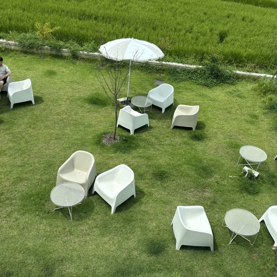 용인 대형카페 '인워프 inwwef' 도자기 체험도 가능한 애견동반 브런치 : 네이버 블로그