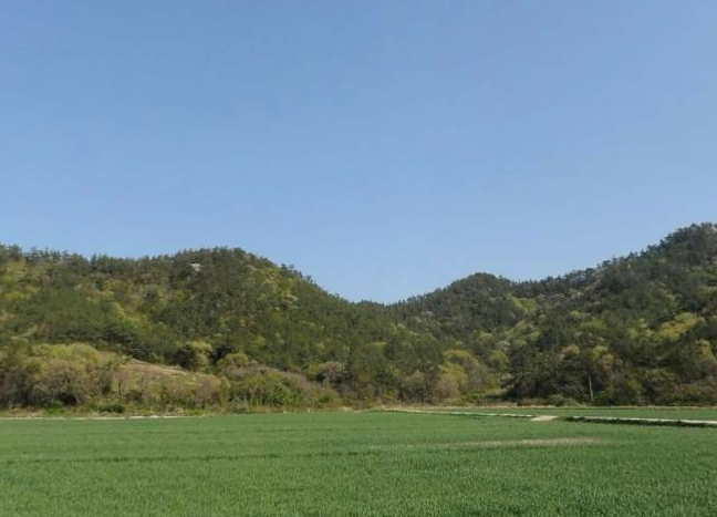 h315, 증도 임야 매매, 17950㎡(약 5430평), 6500만원 : 네이버 블로그