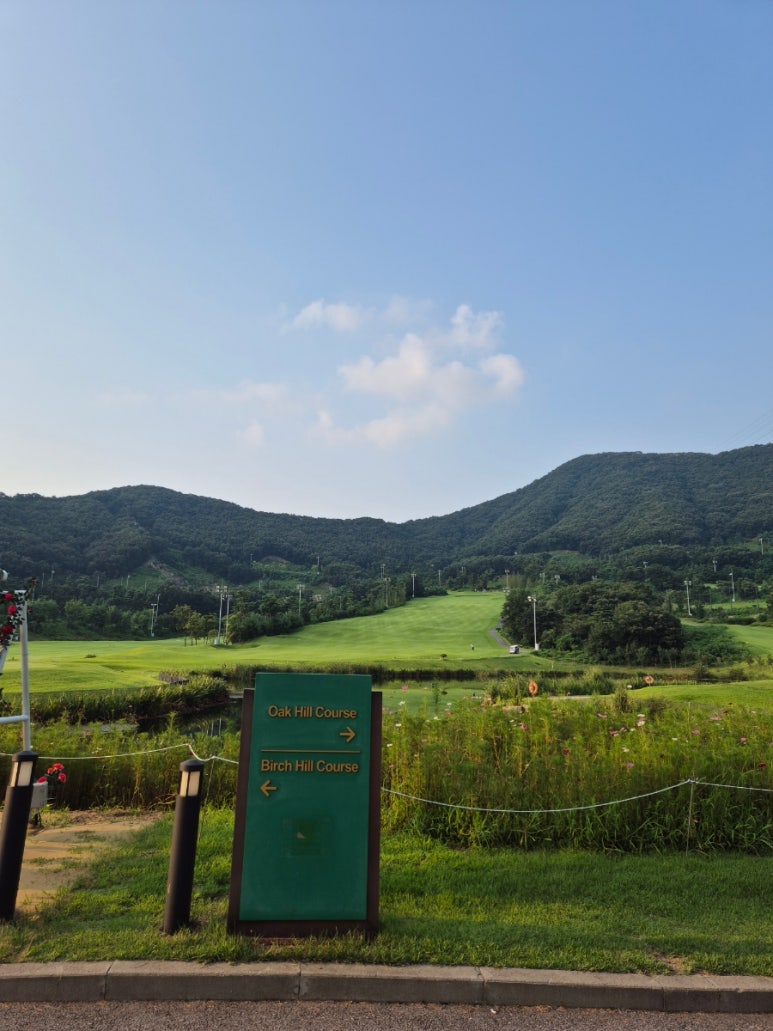 포웰CC안성 라운딩, 성장하는 사자의 골프 이야기 - 멀티버스 vol.80 : 네이버 블로그