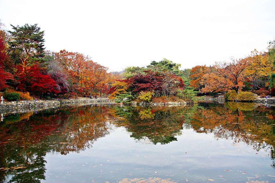 창경궁/서울단풍명소#4( 2020년11월06일) : 네이버 블로그