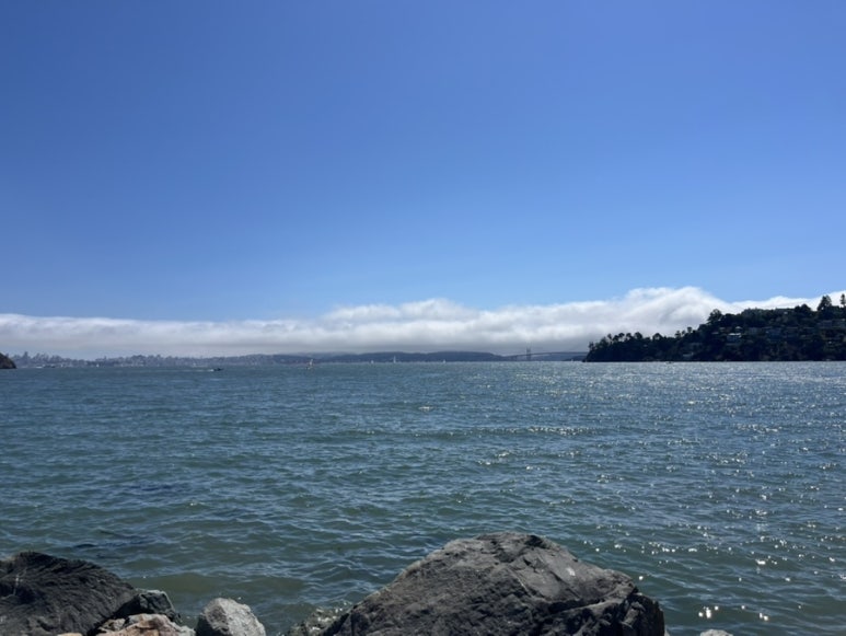 [알레스카크루즈] 29개월 아기와 시애틀 여행 DAY9-10 시애틀 가볼만한 곳 : 베인브릿지(Bain bridge), 스타벅스 리저브 매장 : 네이버 블로그