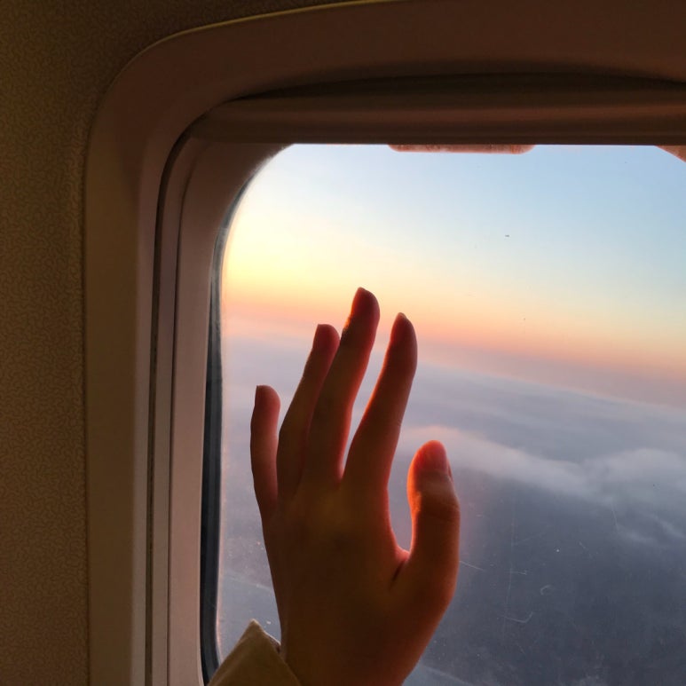 화무십일홍 뜻, 인생의 덧없음! : 네이버 블로그