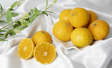 여성호르몬 변화와 건강 관리 방법:)) : 네이버 블로그