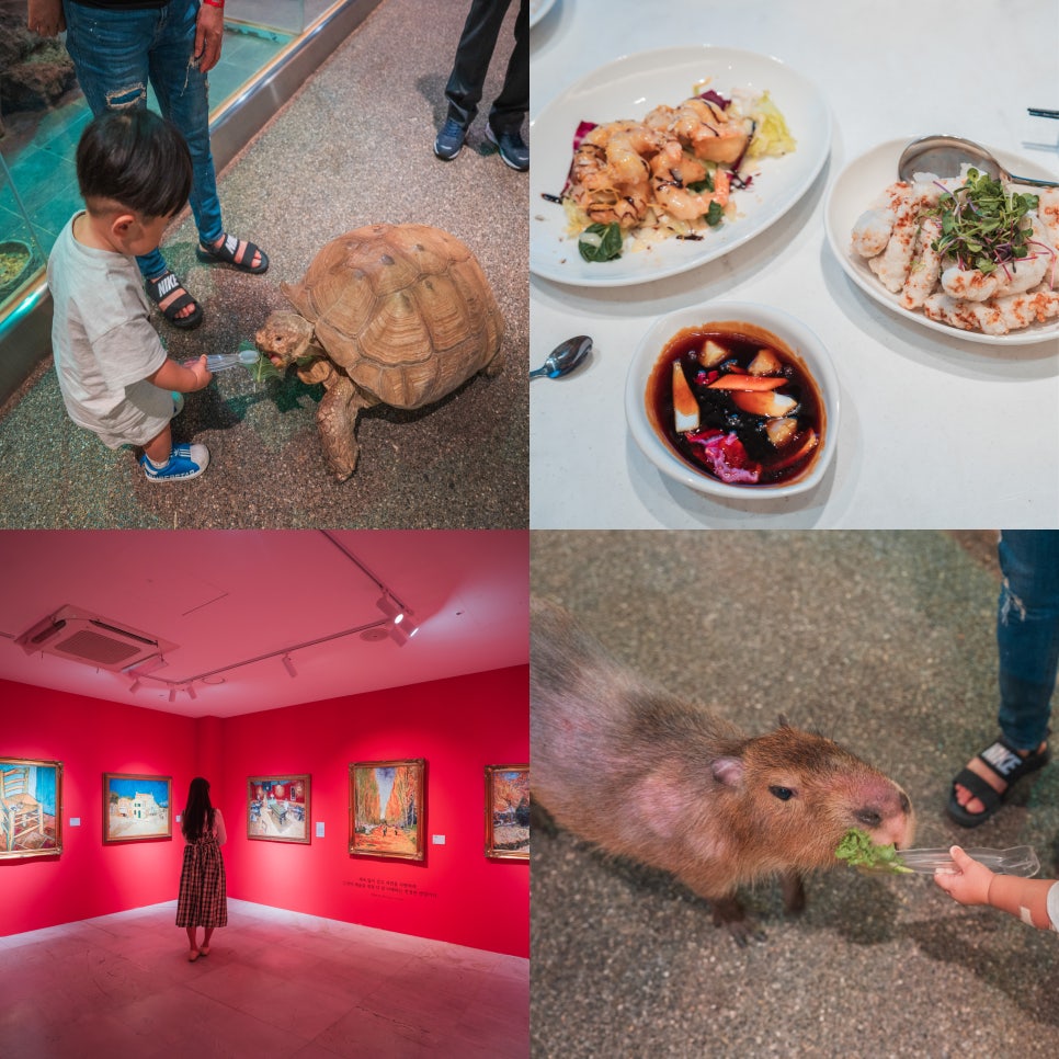 가평 아이와 가볼만한곳 실내 놀거리 신비동물원 천상 전시 : 네이버 블로그