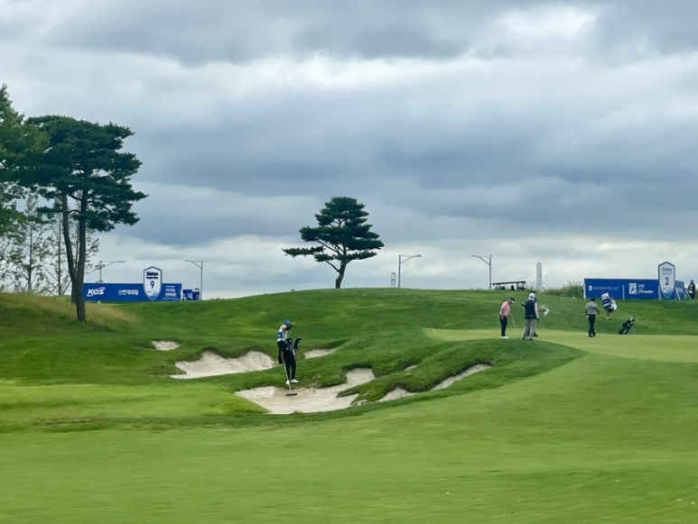 송도 잭니클라우스CC 관람 후기 & 현장 이벤트 | 제41회 신한동해오픈 : 네이버 블로그