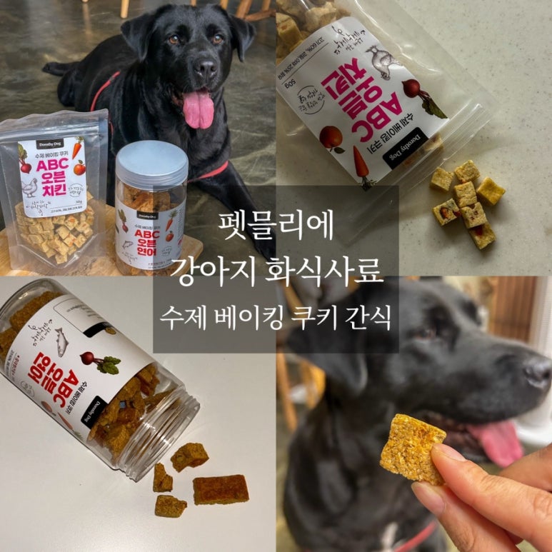 강아지 수제 화식사료 추천하고 싶은 펫믈리에 후기 : 네이버 블로그