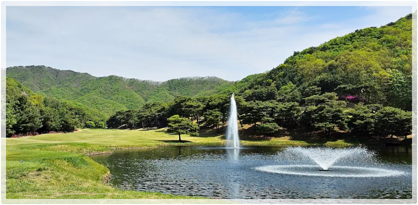 센추리21cc 회원권 가격 무기명 혜택 : 네이버 블로그