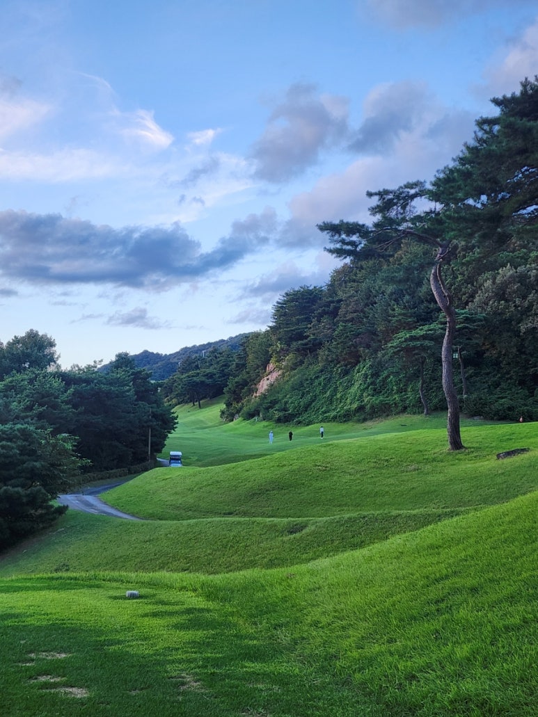 강원도 원주 골프장 센추리21cc 잔디 : 네이버 블로그