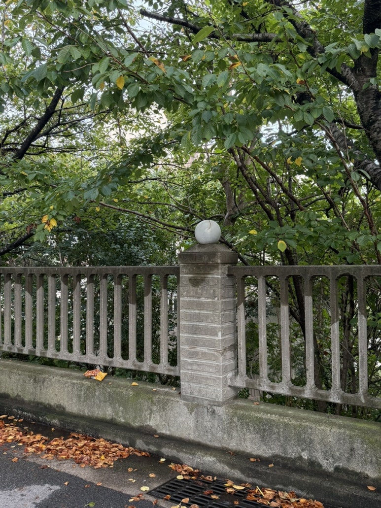 가을이 오려나봐요 : 네이버 블로그