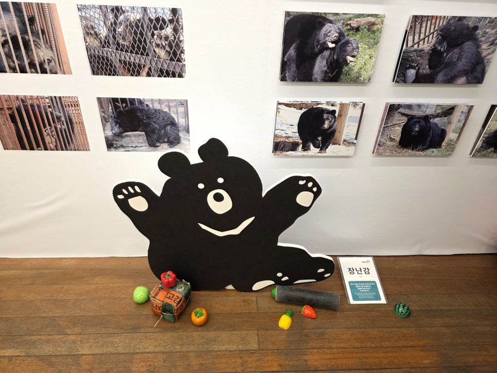 홍대 소품샵 볼거리 & 곰 보금자리 프로젝트: GOME SWEET HOME 곰 스위트 홈 오브젝트 서교점 : 네이버 블로그