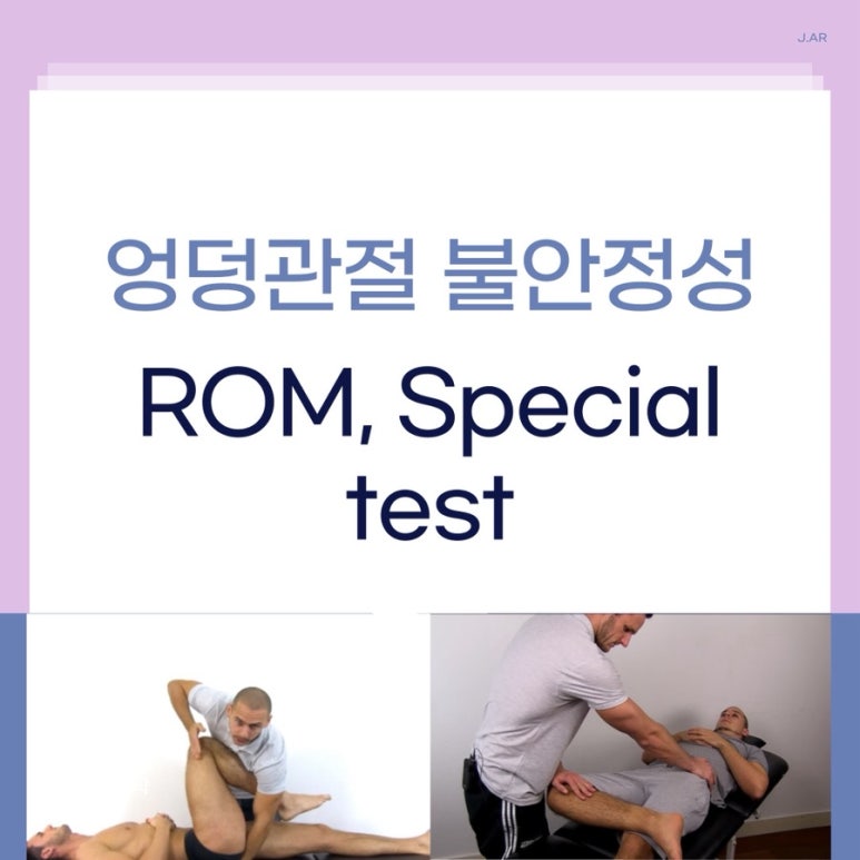 고관절 불안정성 평가를 위한 Hip joint ROM, SI Joint Special test (1) : 네이버 블로그