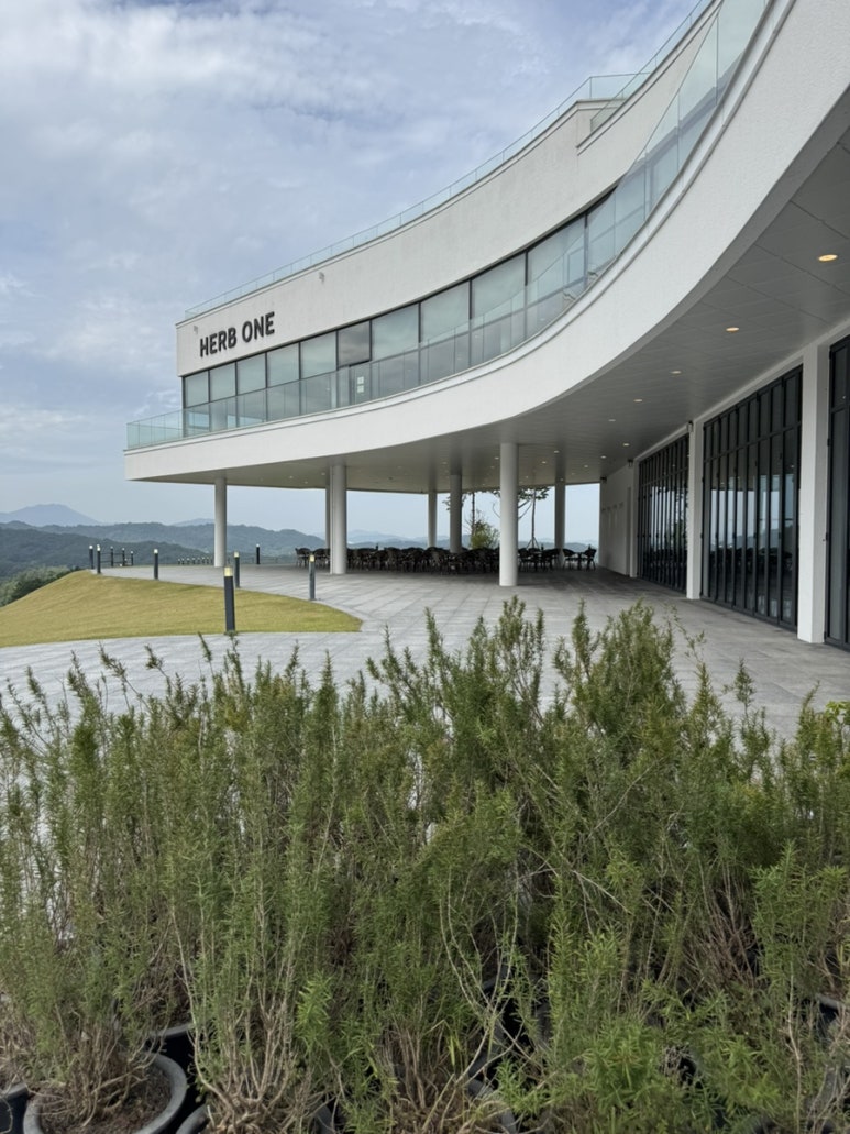 정읍 카페 귀리샌드와 라벤더 음료가 있는 대형카페 허브원 : 네이버 블로그