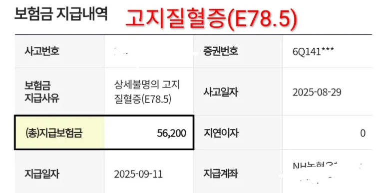[이상지질혈증 / 고지혈증] 질병분류기호 E785 질병통원의료비(통원의료비 + 처방의료비) 실비보험 청구 / 지급 : 네이버 블로그