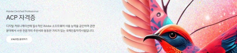어도비(Adobe) 자격증: ACP(구 ACA) 시험구성 장점 취득 방법 : 네이버 블로그