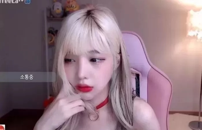 은퇴 선언하고 평생 안 돌아올 것처럼 하더니 돌연 '복귀' 선언한 여캠 BJ 4명 : 네이버 블로그